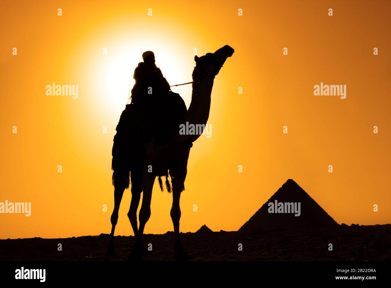silhouette of pyramids and camel bedouine at sunset in egypt cairo giza ...