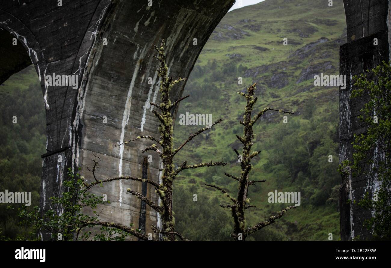 Old bridge and picturesque Scotland morning landscape Stock Photo - Alamy