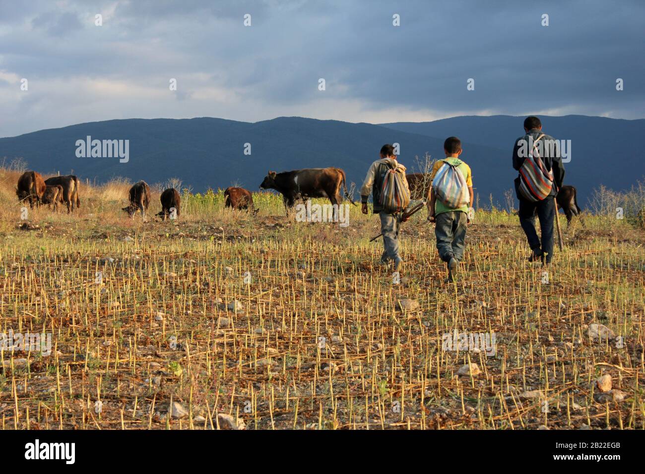 Junior Shepherd High Resolution Stock Photography and Images - Alamy