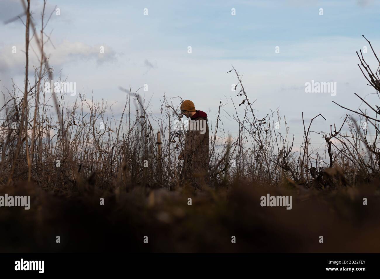 man walking in bushes Stock Photo - Alamy