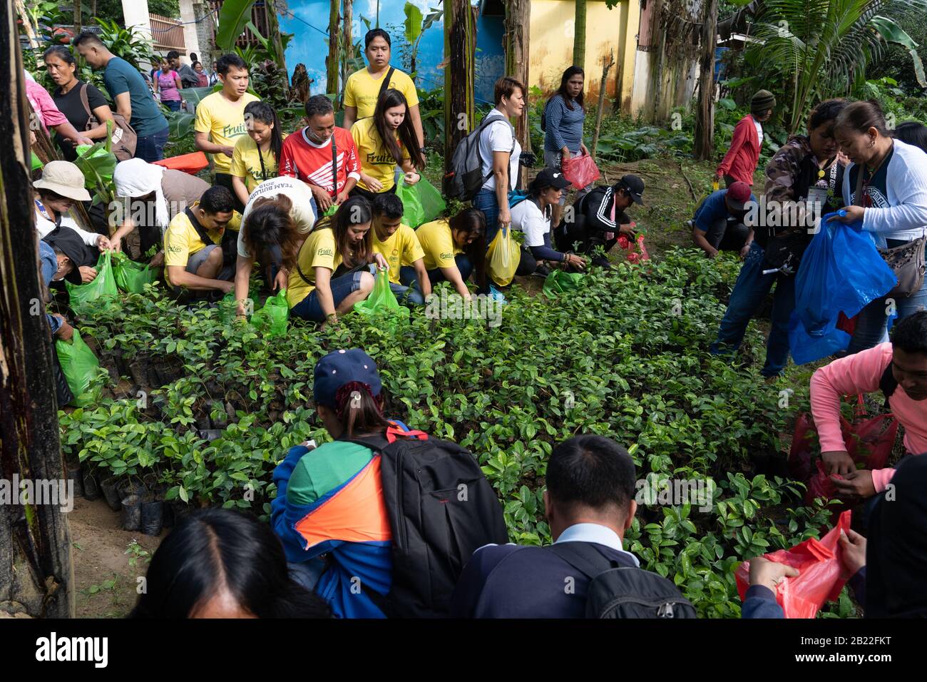 People helping with a community planting reforestation project in Cebu ...