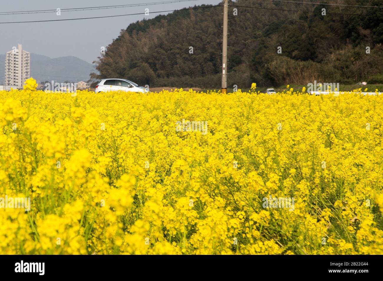 Japanese countryside spring landscape, Fukuoka, Japan Stock Photo - Alamy