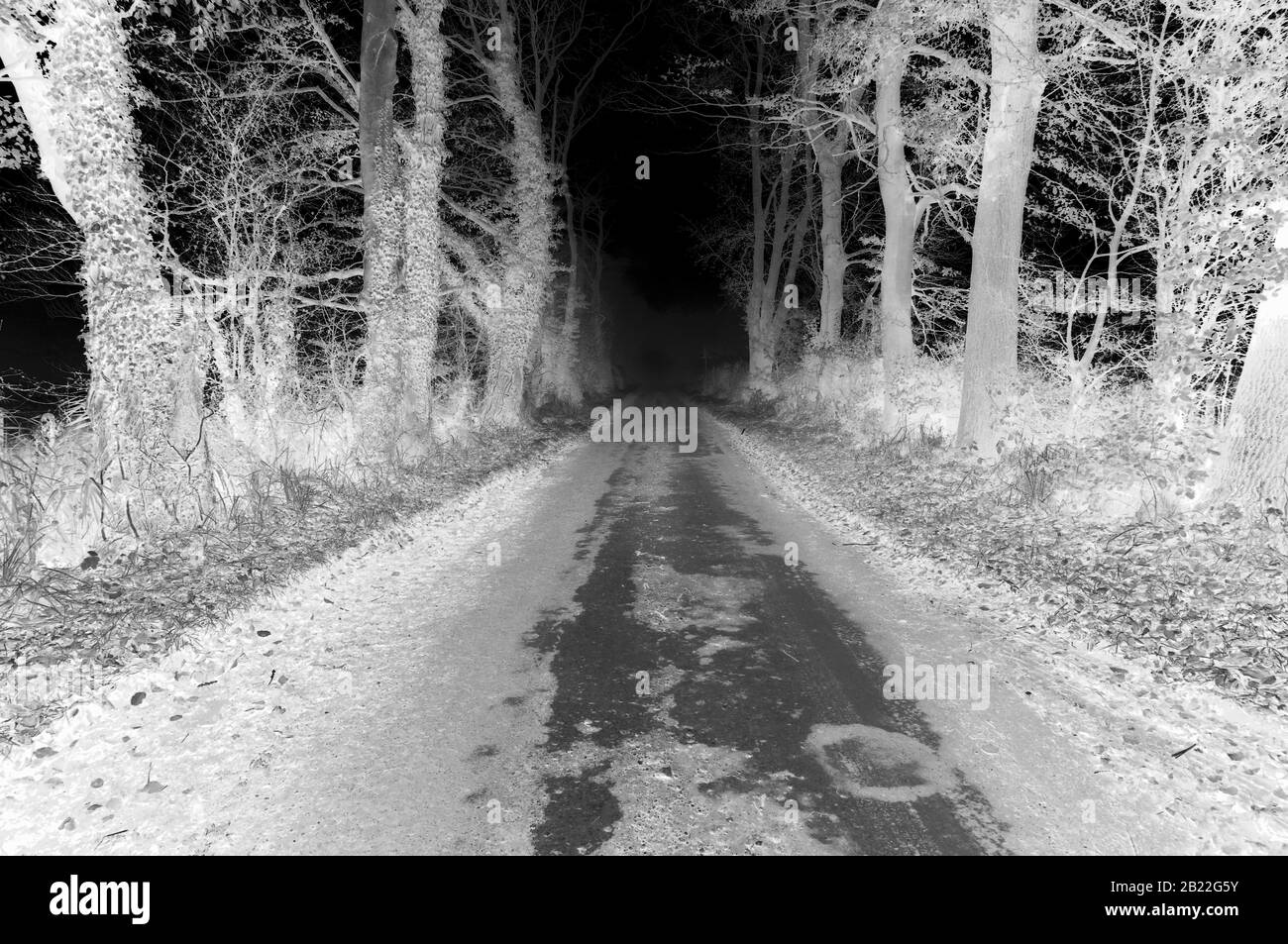 Inverted negative black and white image of a rural country road lane ...