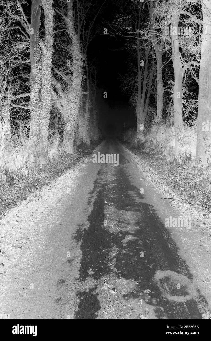 Inverted negative black and white image of a rural country road lane ...