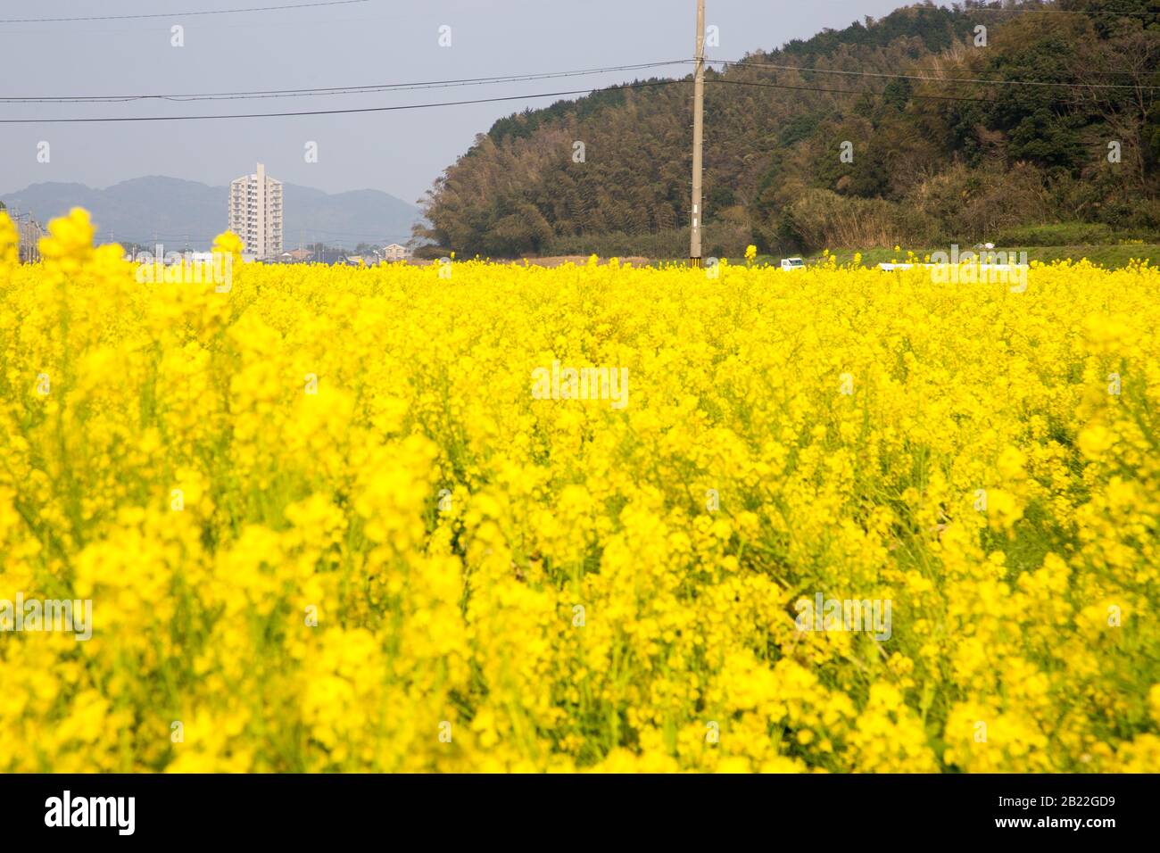 Japanese countryside spring landscape, Fukuoka, Japan Stock Photo - Alamy