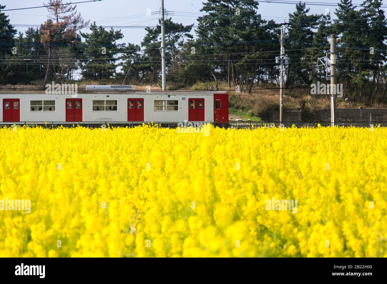 Japanese countryside spring landscape, Fukuoka, Japan Stock Photo - Alamy