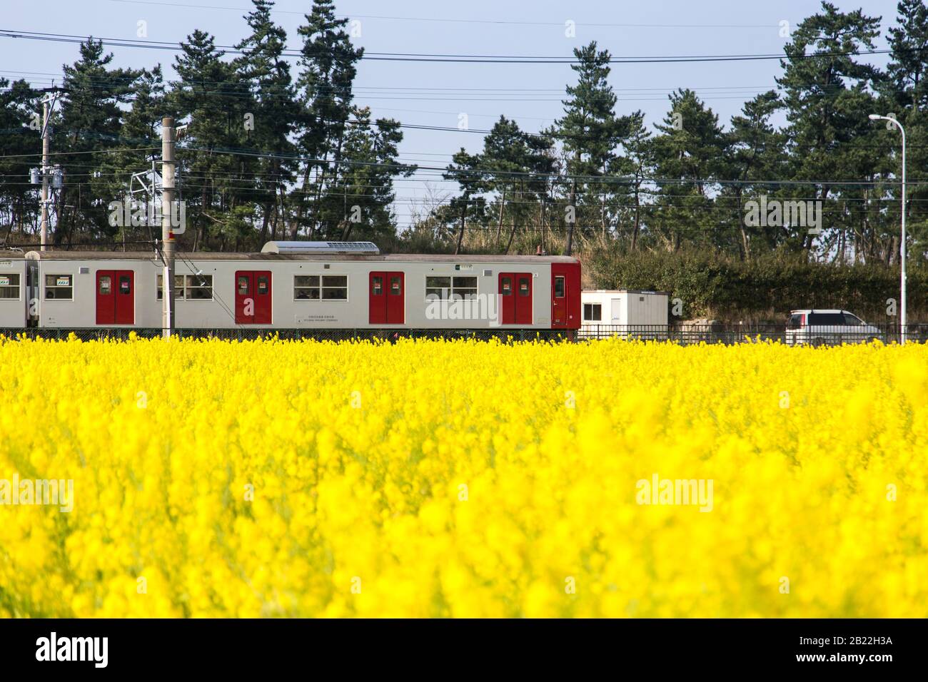 Japanese countryside spring landscape, Fukuoka, Japan Stock Photo - Alamy