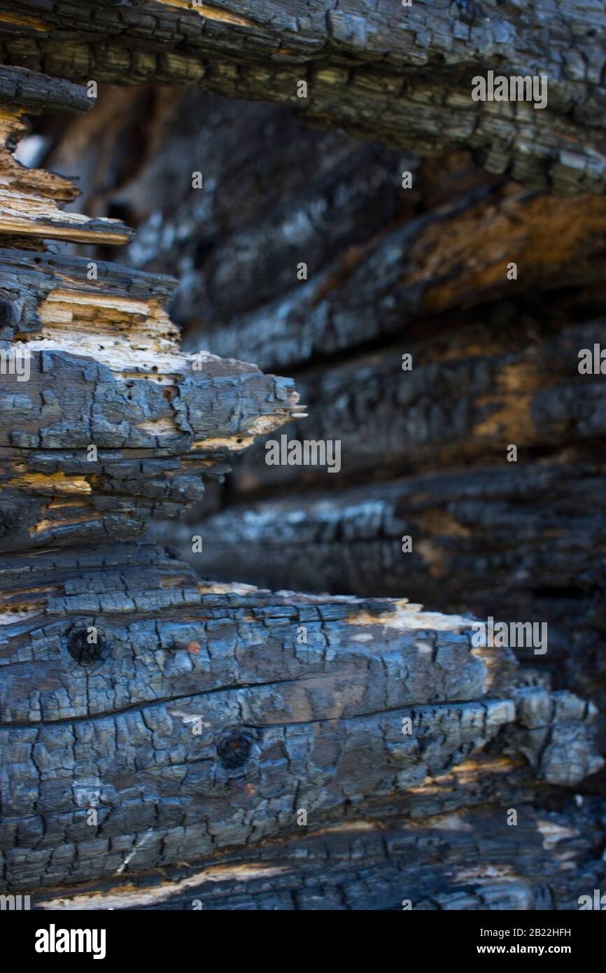 Natural fire ashes with dark grey black coals texture. It is a ...