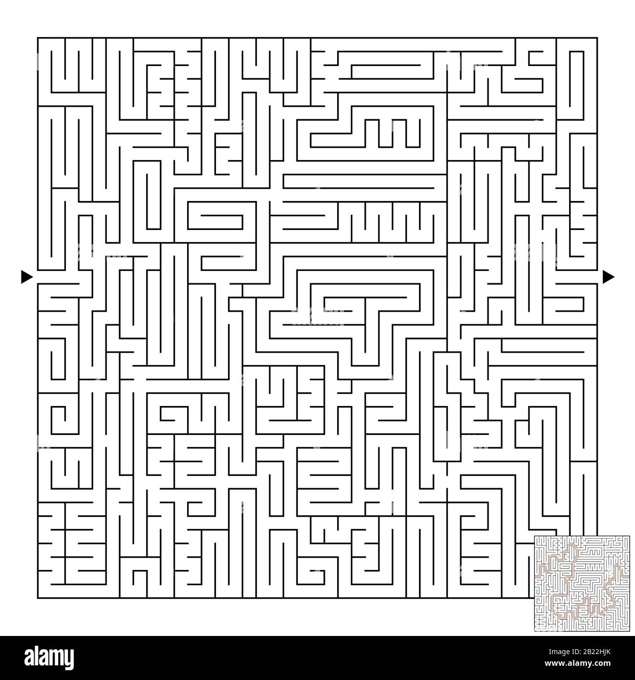A large square labyrinth. Find the path from the entrance to the exit ...