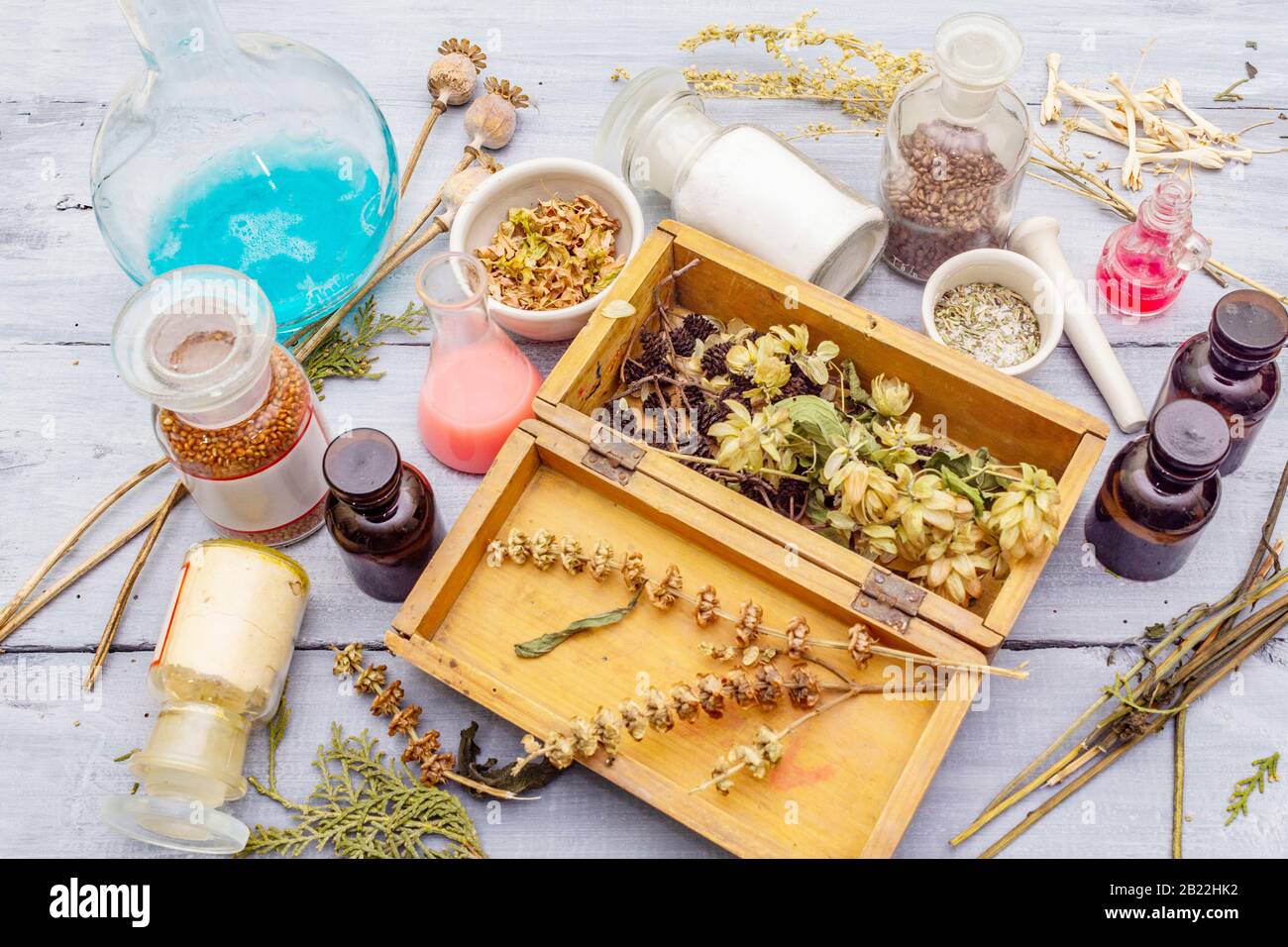 Scary halloween laboratory. Dry herbs, alchemy appliances, potions and ...