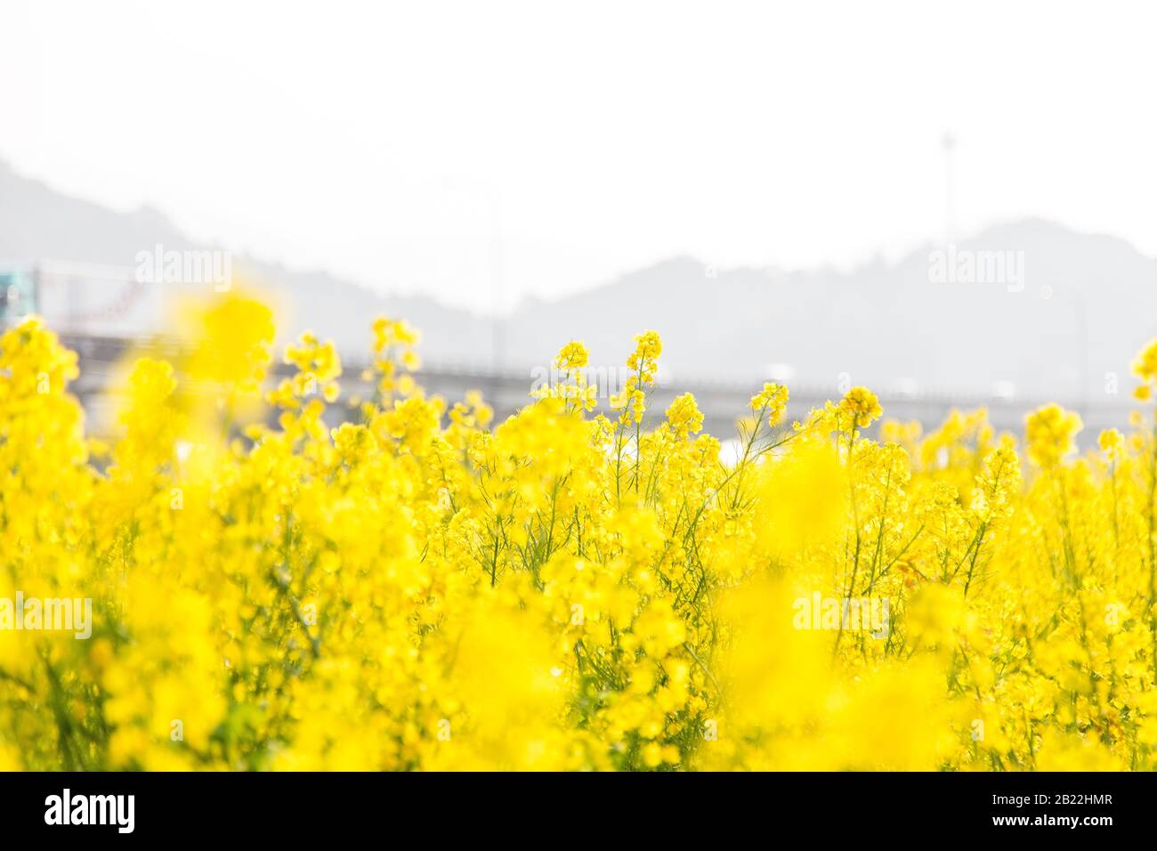 Japanese countryside spring landscape, Fukuoka, Japan Stock Photo - Alamy