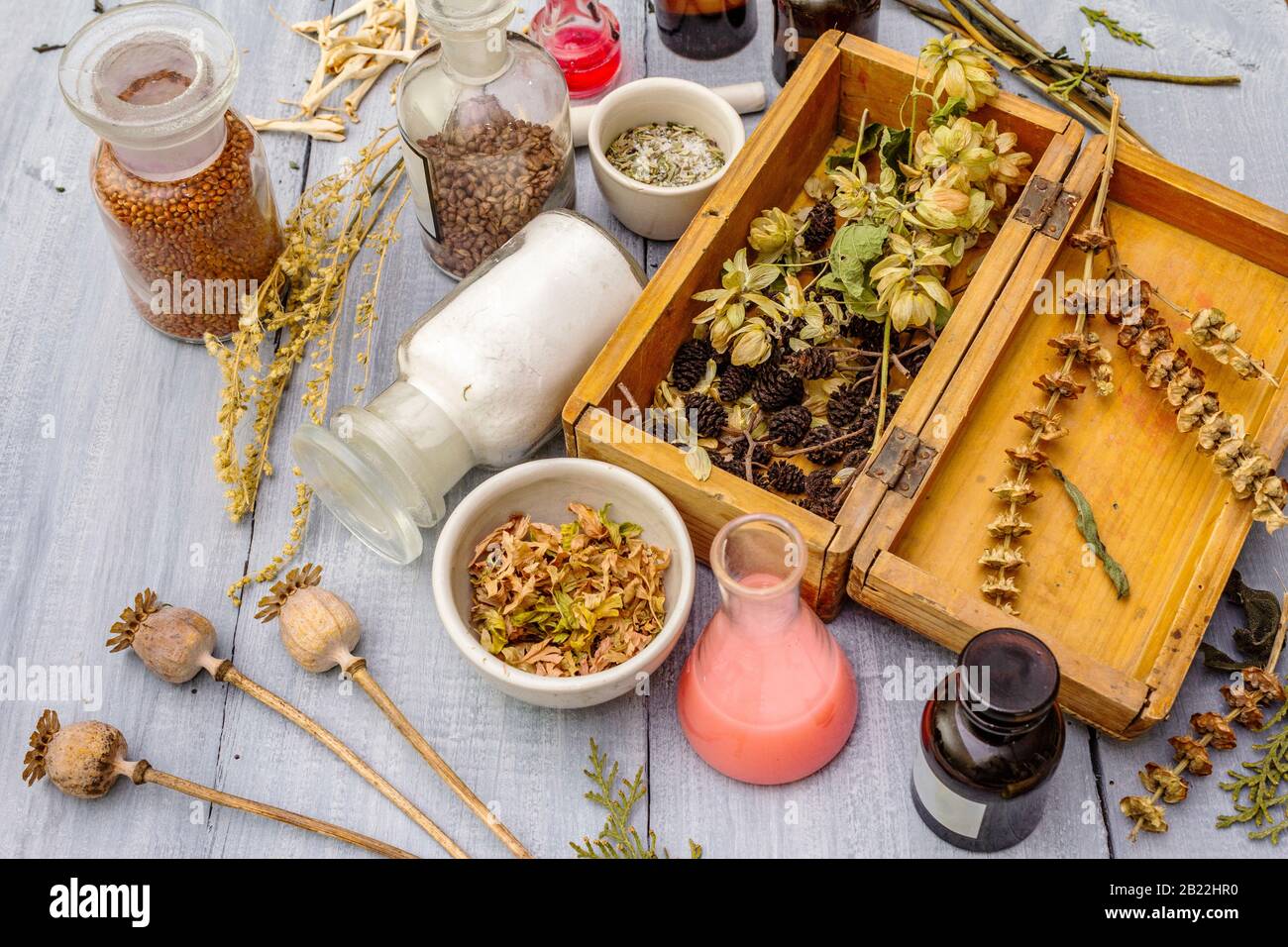 Scary halloween laboratory. Dry herbs, alchemy appliances, potions and ...