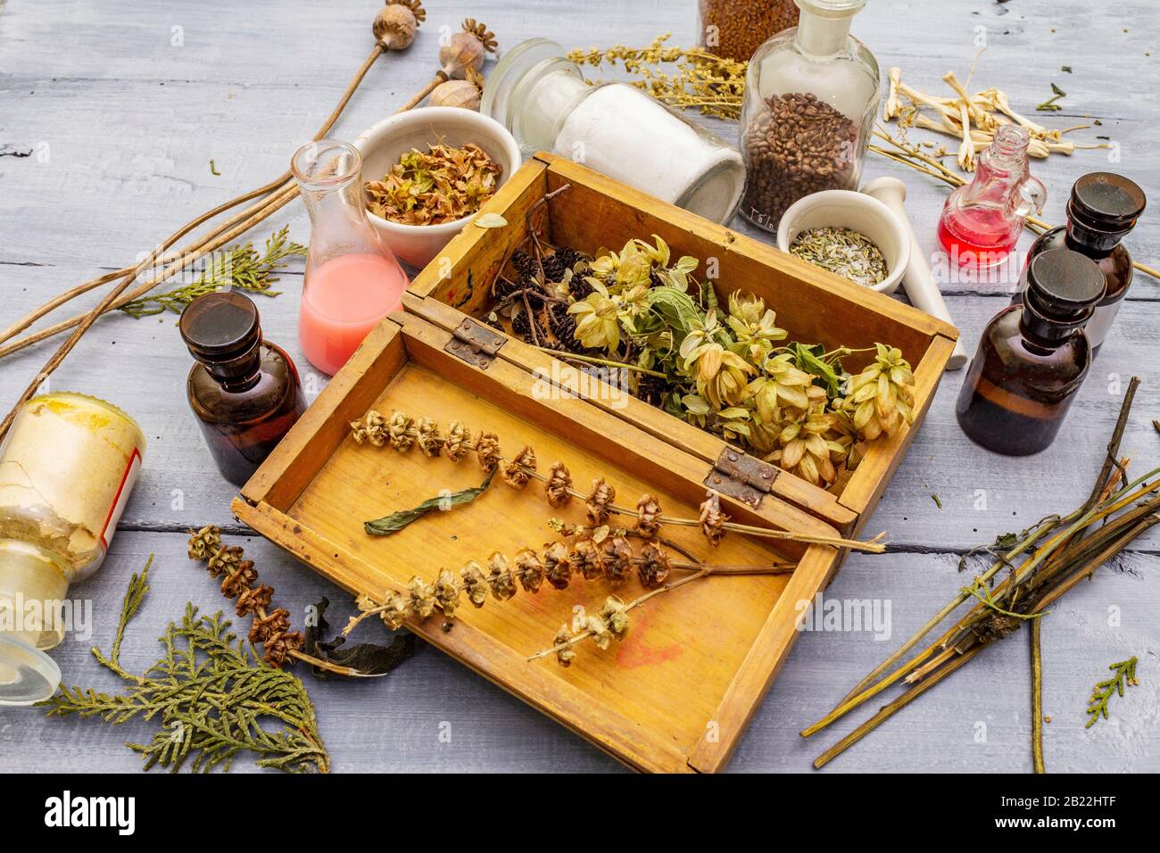 Scary halloween laboratory. Dry herbs, alchemy appliances, potions and ...