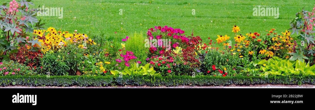 flourishing plants in a flower bed of a baroque garden (French formal ...