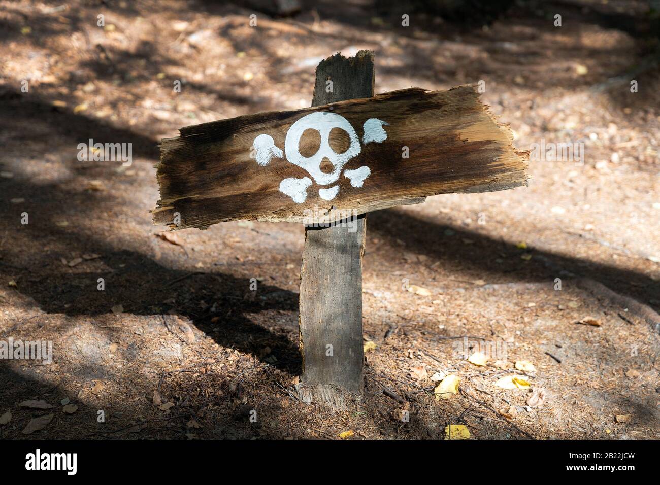 Wooden board with painted white skull, danger warning sign Stock Photo ...