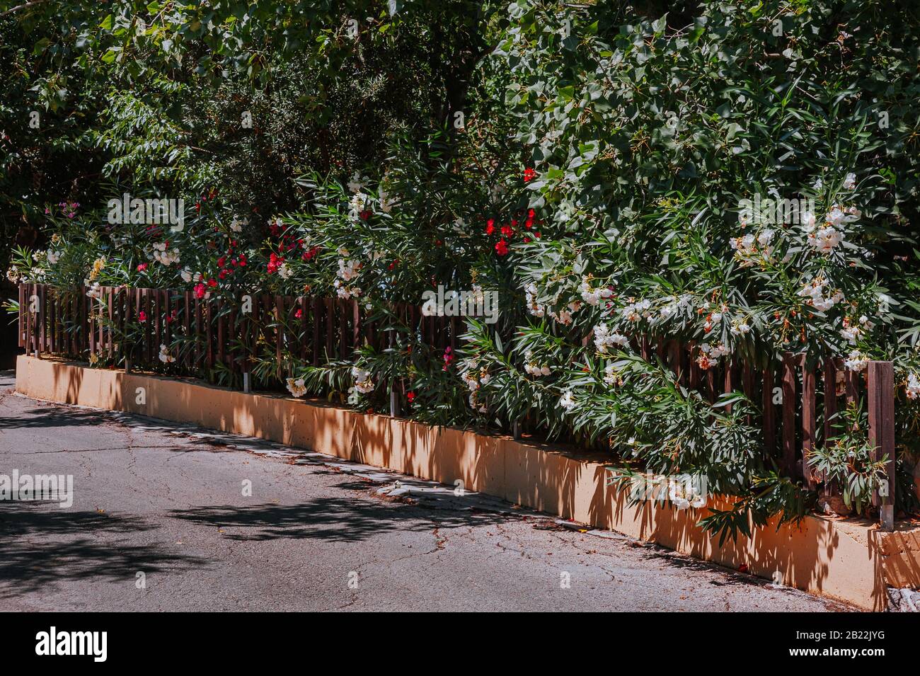 Traditional greek alley on Sifnos island, Greece Stock Photo - Alamy
