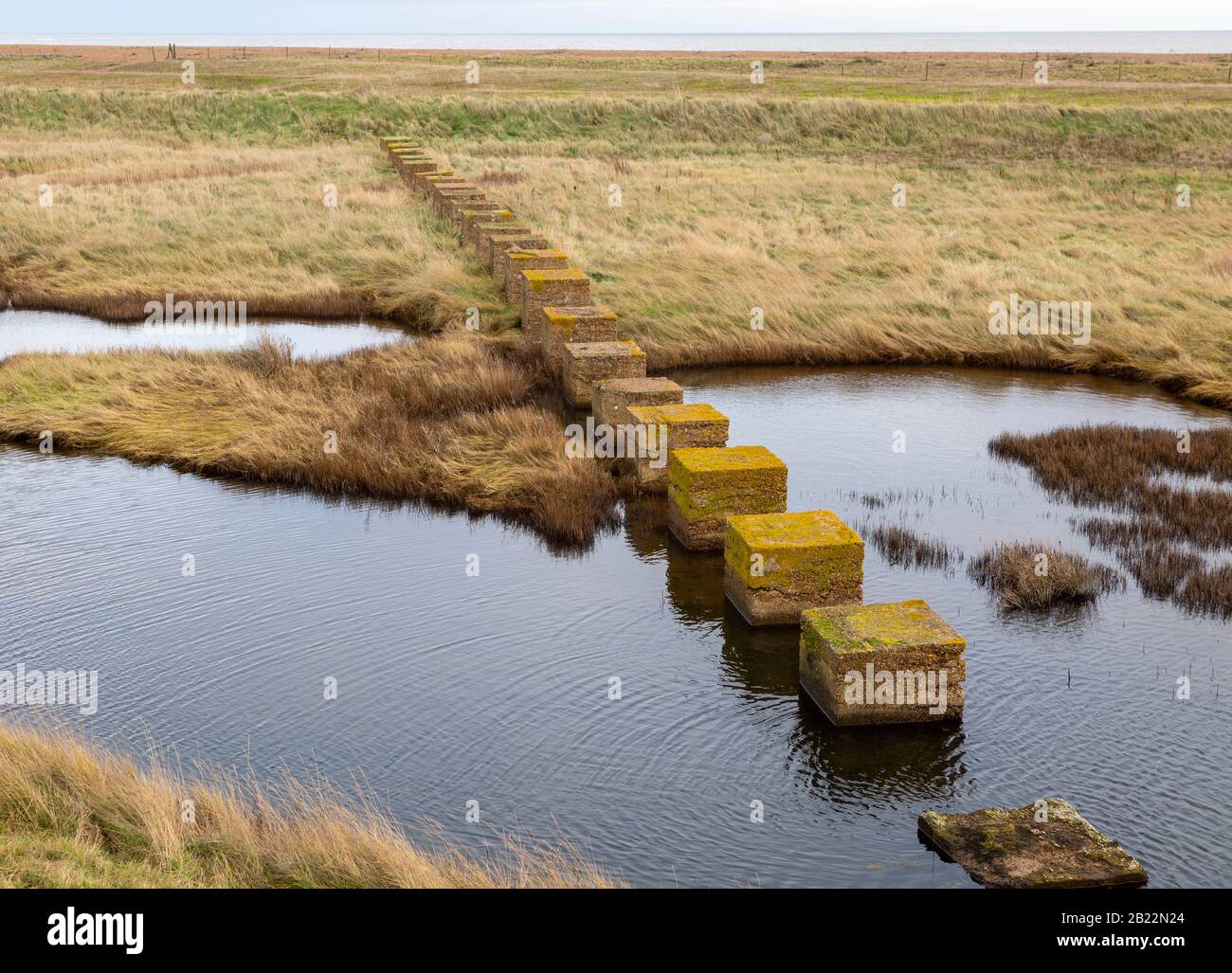 Stepping stones formed by second world war defences near Shingle Street ...