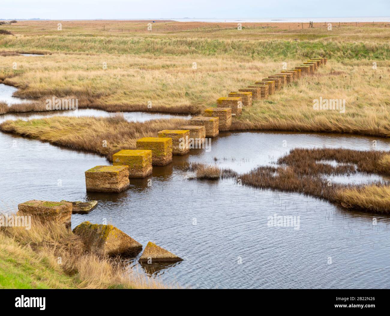 Stepping stones formed by second world war defences near Shingle Street ...