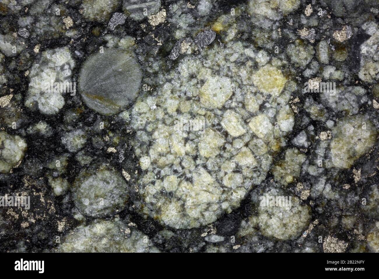 Meteorite inclusions in a slice of Aba Panu fall Stock Photo - Alamy