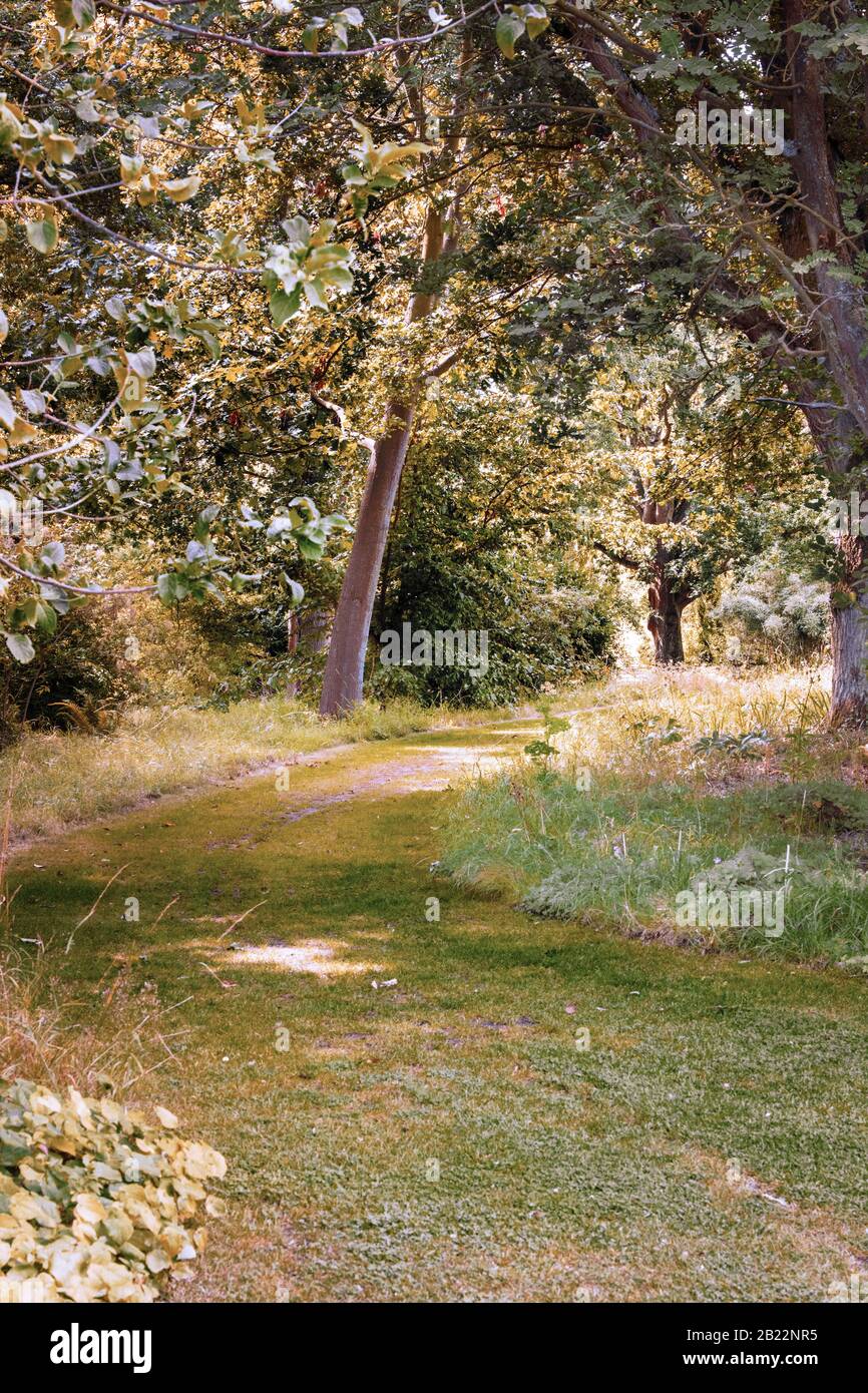 Walk paths hi-res stock photography and images - Alamy