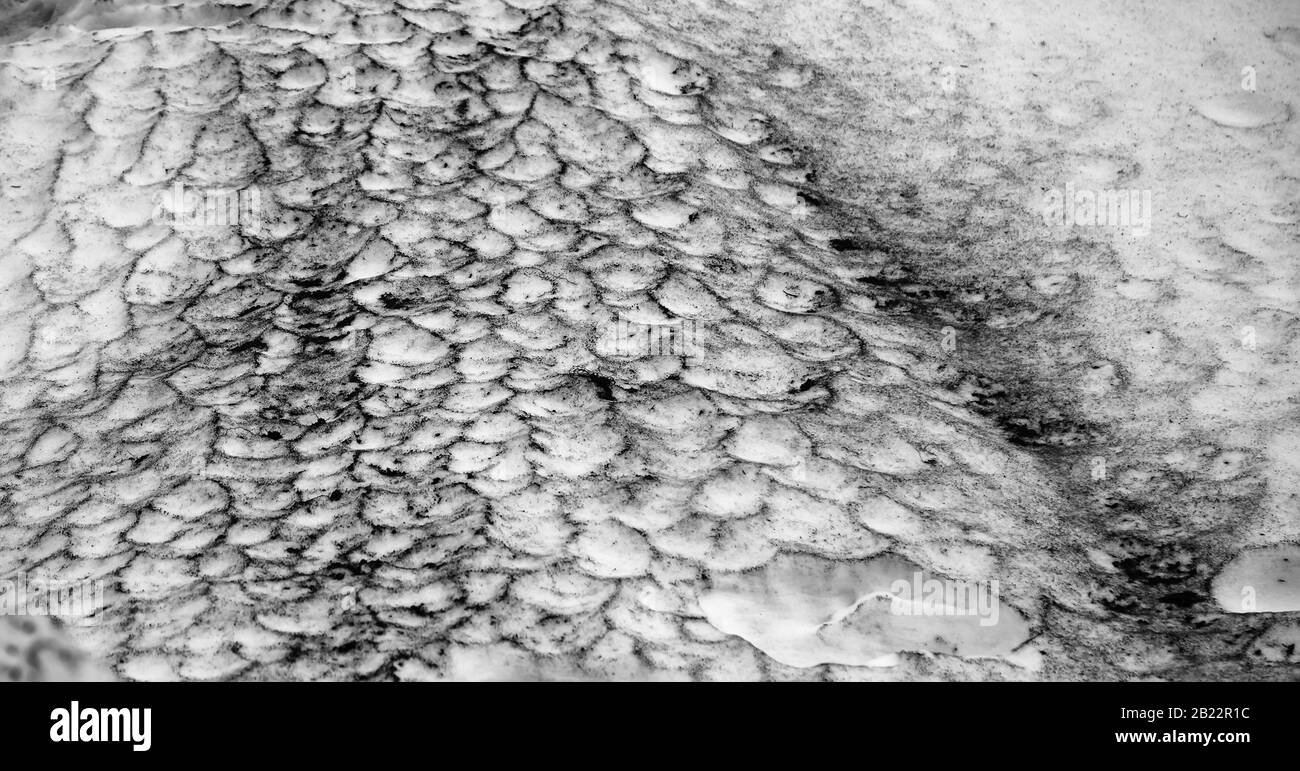 Snow covered ice ground in winter, risk and nature Stock Photo - Alamy