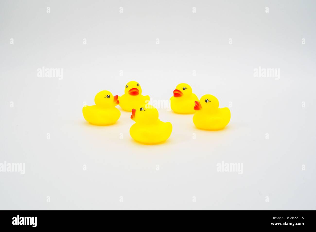 Five mini yellow rubber ducks in circle facing each other. Isolated on ...
