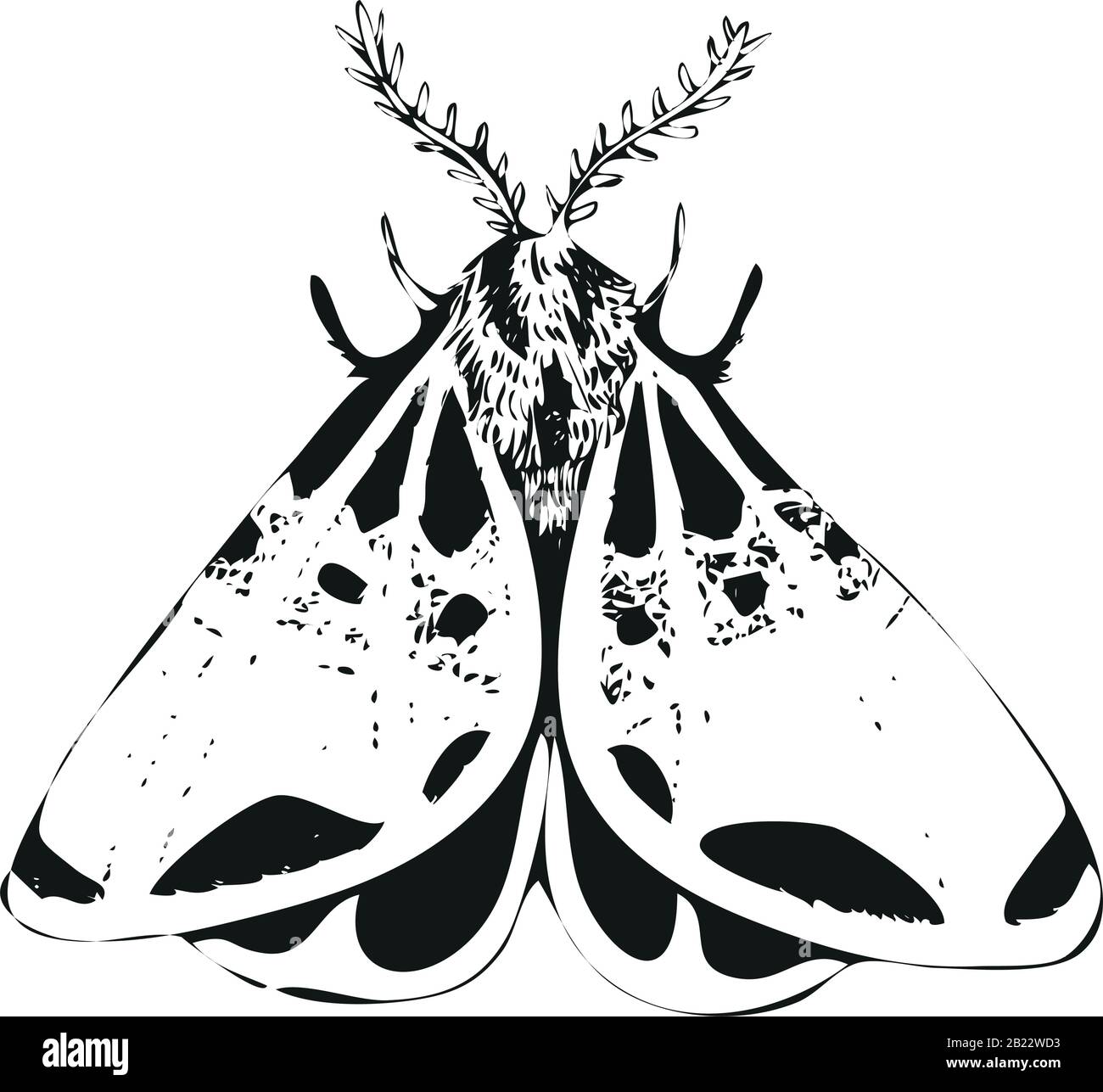 Vector mystic vintage black ink moth, butterfly Stock Vector Image ...