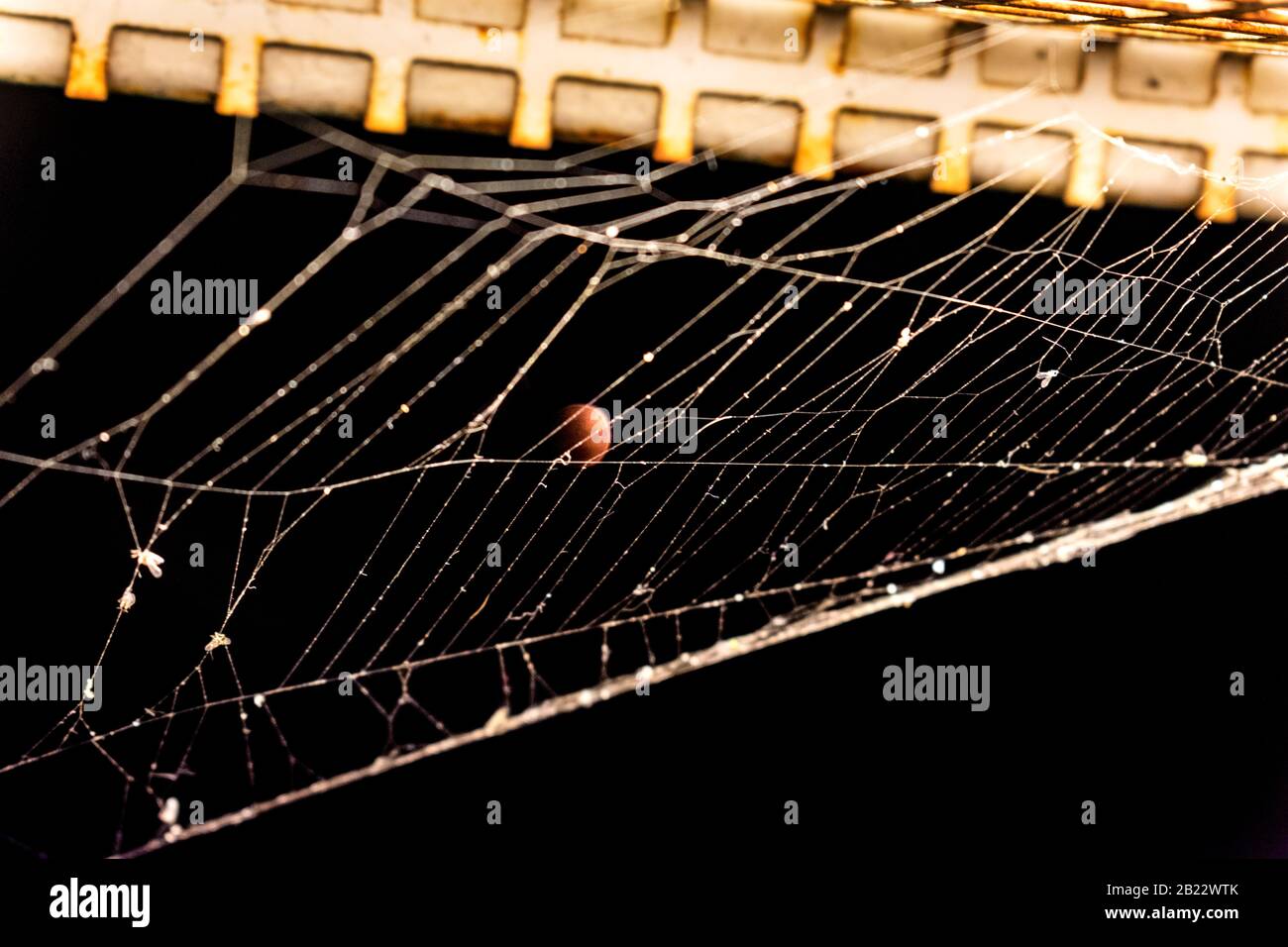 A spider web on metal railings awaits the built-in light Stock Photo ...