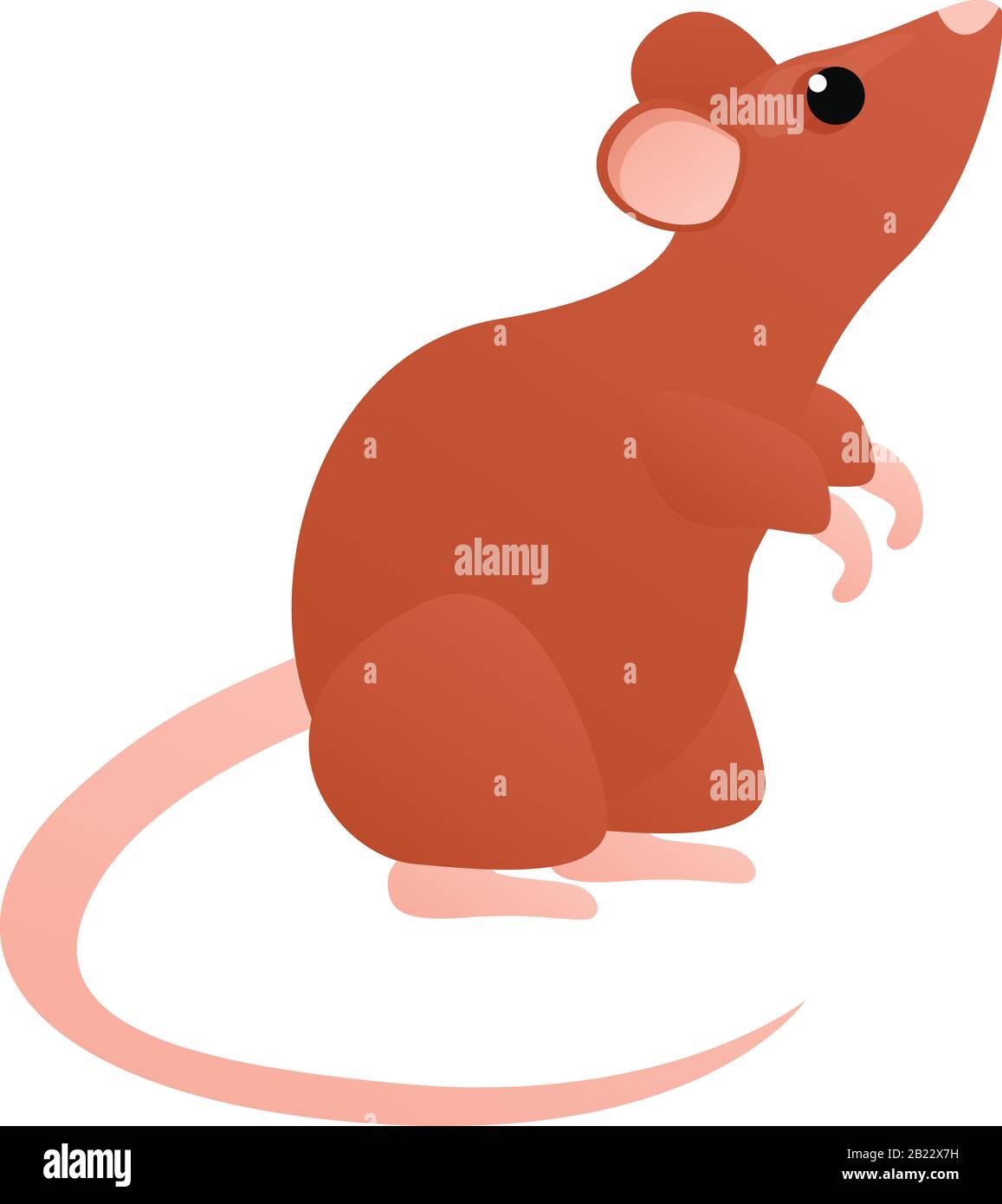 Cute rat icon. Cartoon of cute rat vector icon for web design isolated ...