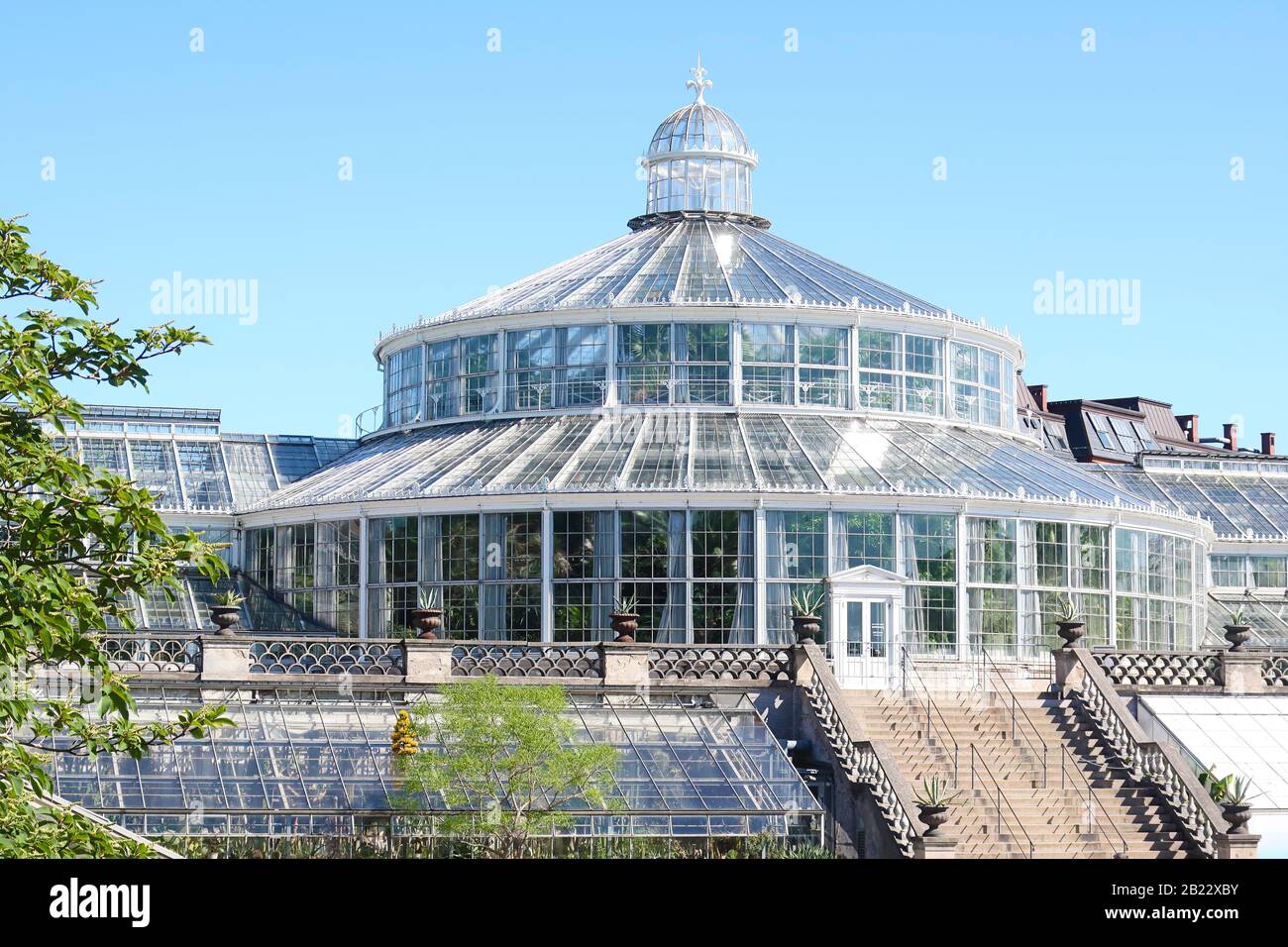 University of Copenhagen Botanical Garden, Denmark Stock Photo - Alamy