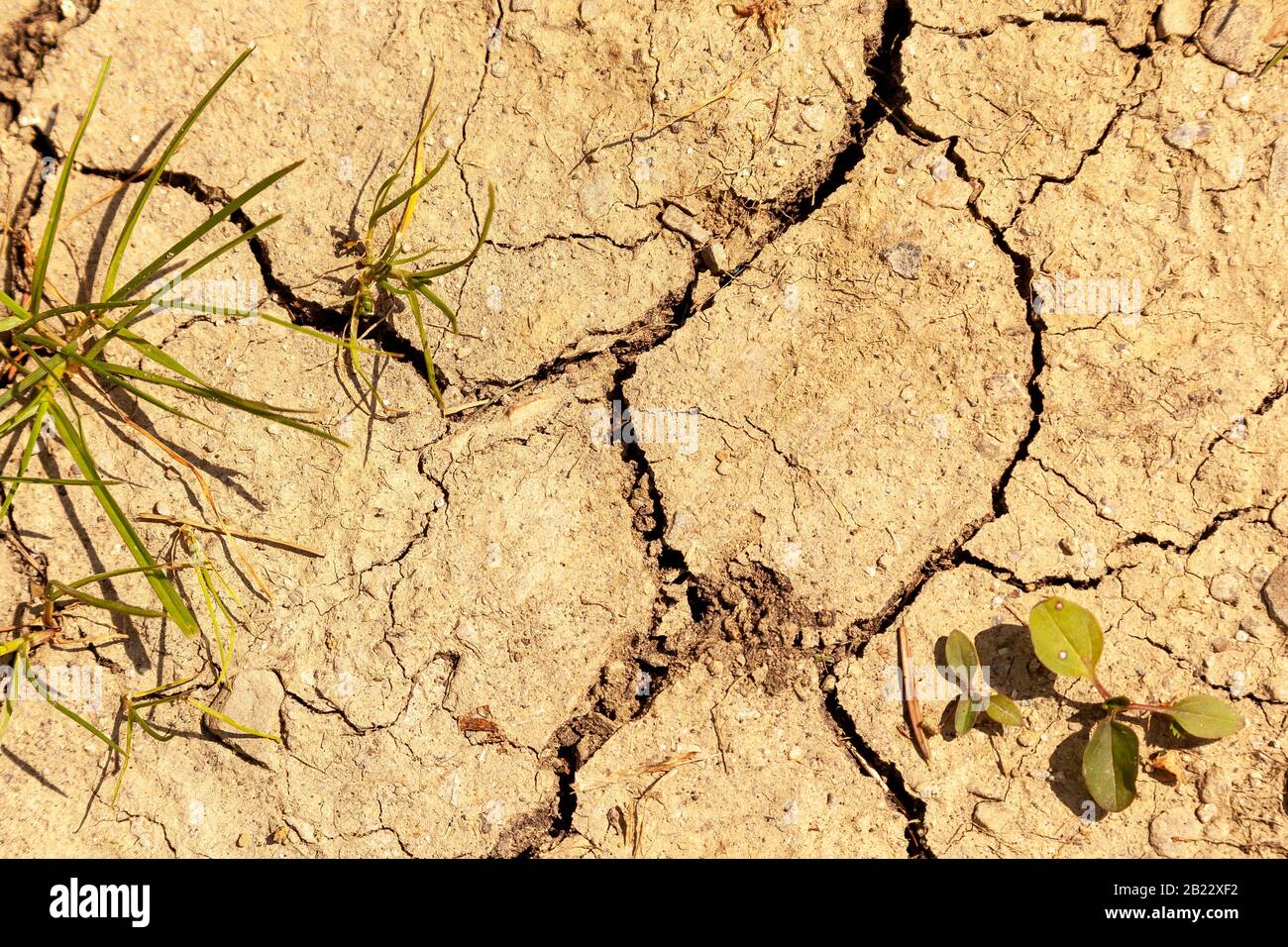 Dried up earth with big cracks, dry desert ground closeup dirt rough ...