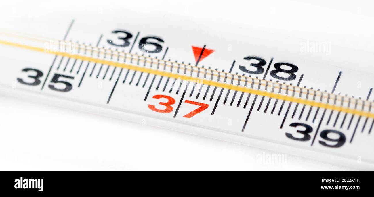 Temperature measuring device hi-res stock photography and images - Alamy