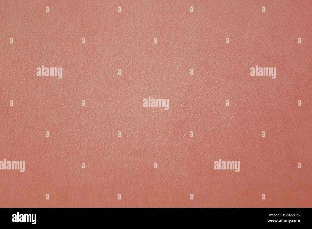 Detailed seamless texture hi-res stock photography and images - Alamy