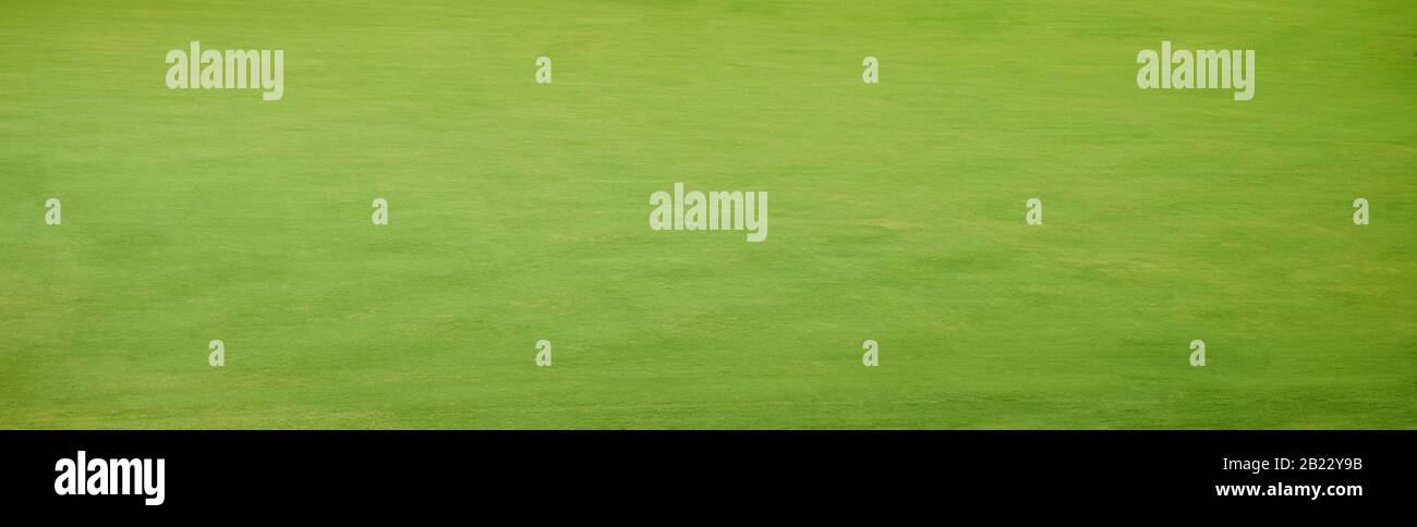 Football field texture hi-res stock photography and images - Alamy