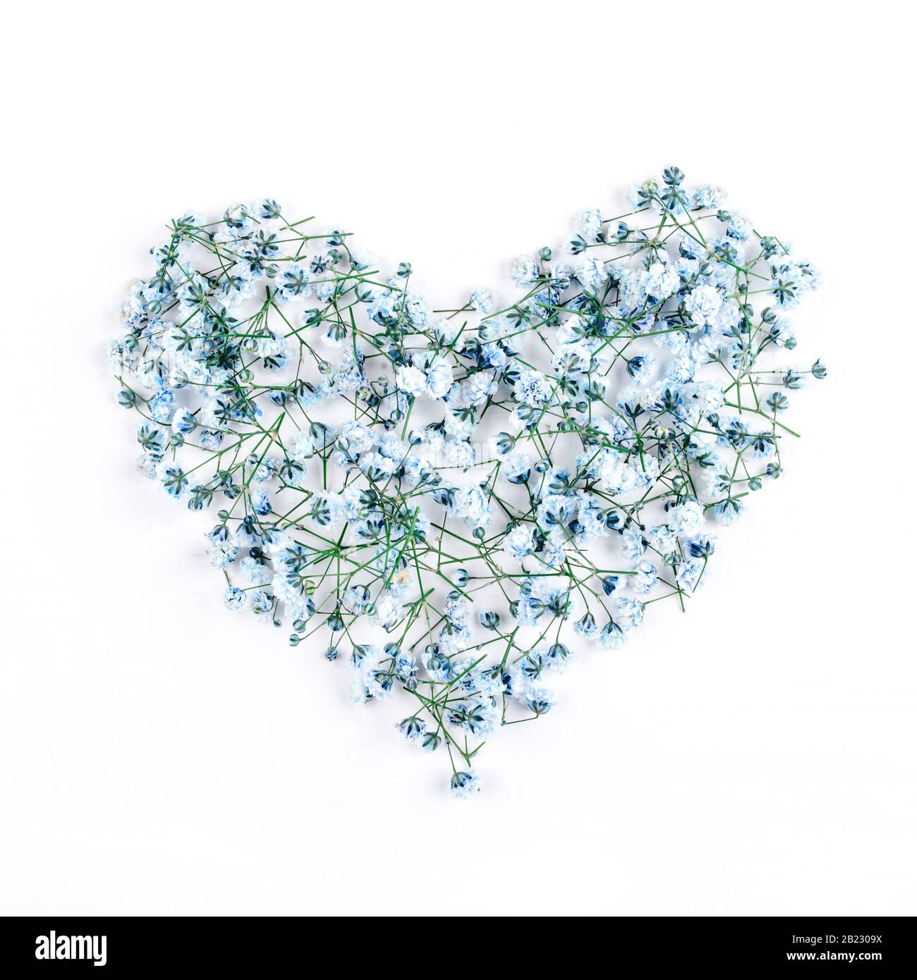 Beautiful flower composition of blue gypsophila flowers Stock Photo - Alamy