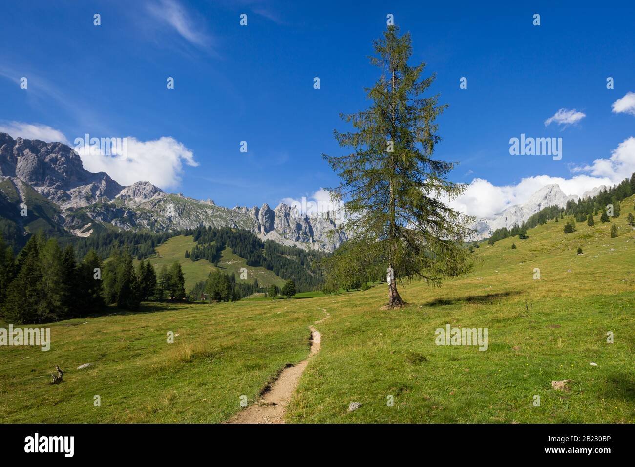 Beautiful alpine valley in Filzmoos (Austria) with small path, Larch ...