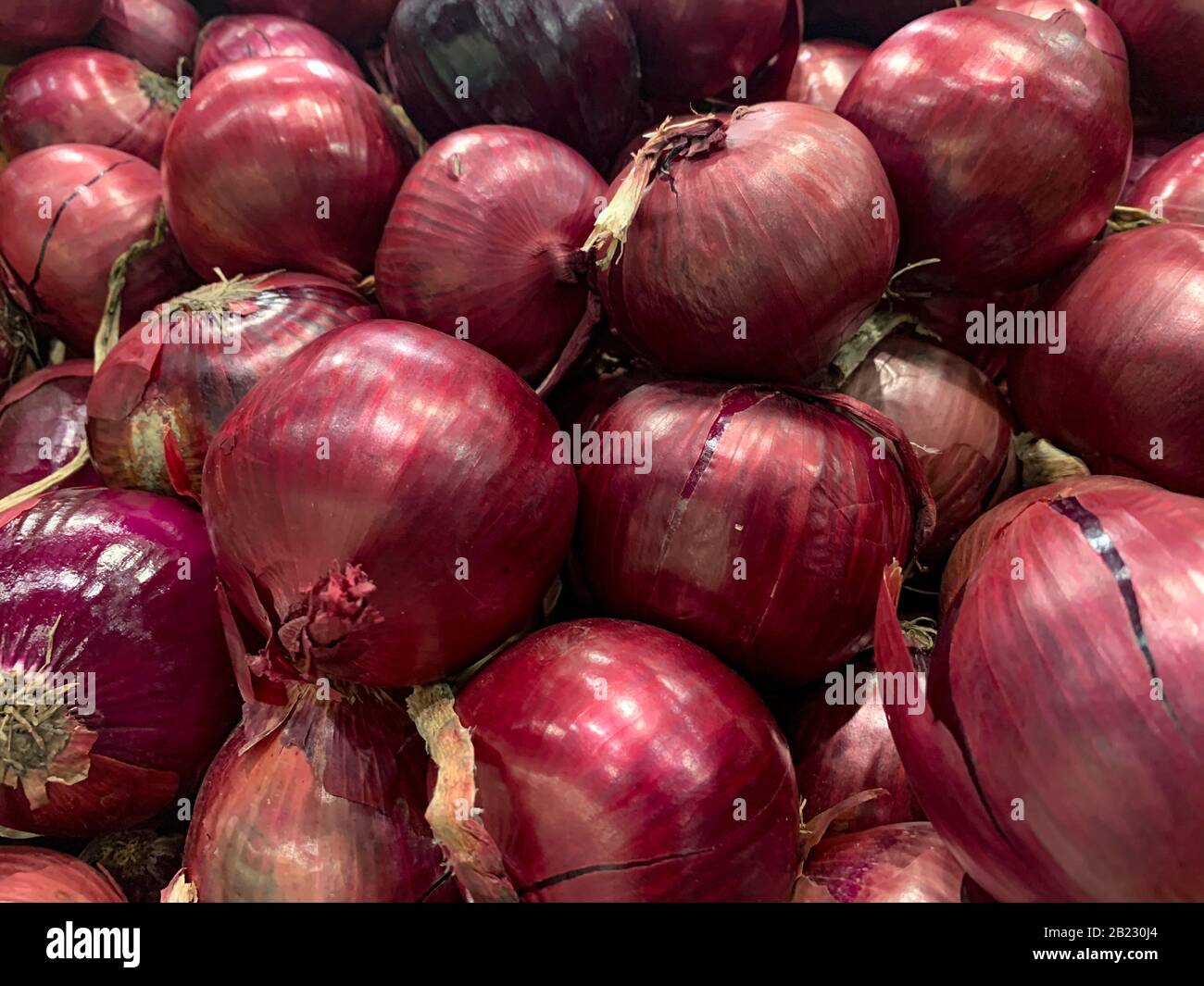 Purple onion full frame onion hi-res stock photography and images - Alamy