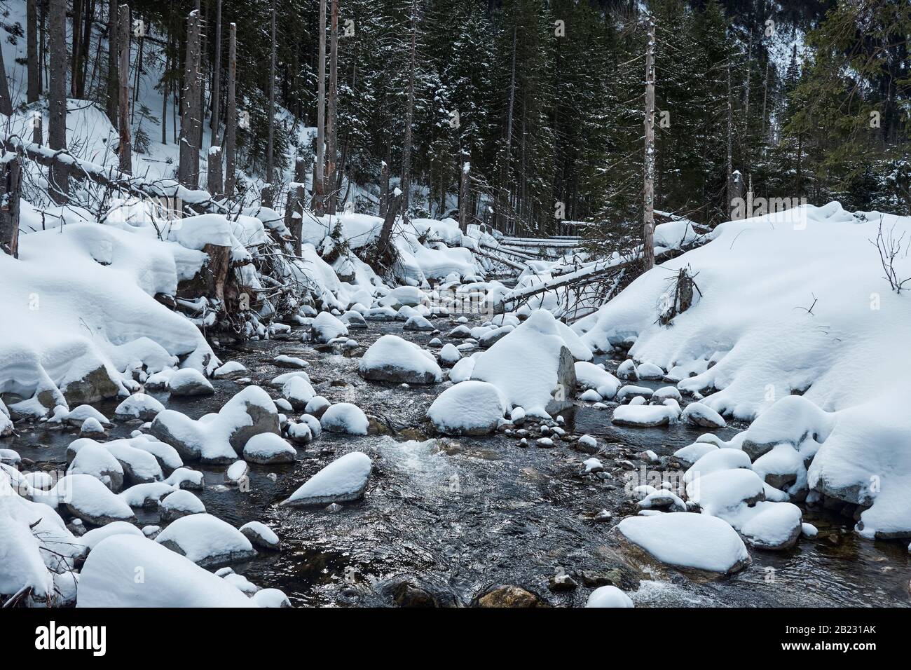Thirsty creek hi-res stock photography and images - Alamy