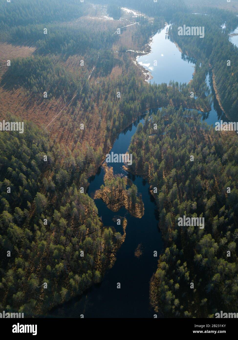 Aerial view of river in boggy forest landscape Stock Photo - Alamy