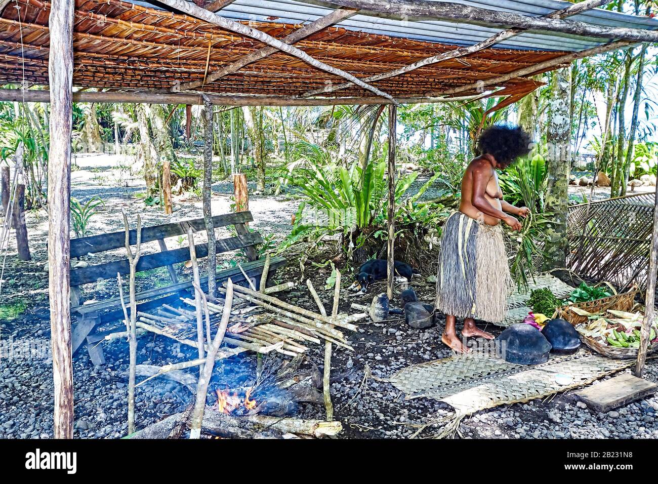 Grass Png Tall Grass PNGs For Free Download