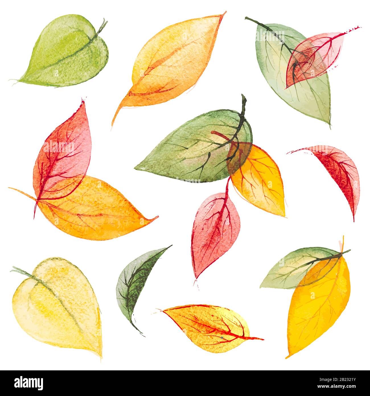 Autumn watercolor set leaves Stock Vector Images - Alamy