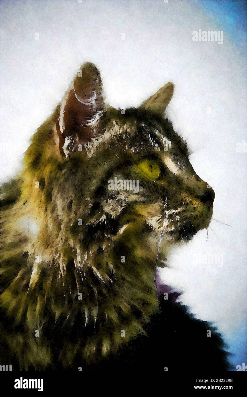 cat portrait painting Stock Photo - Alamy