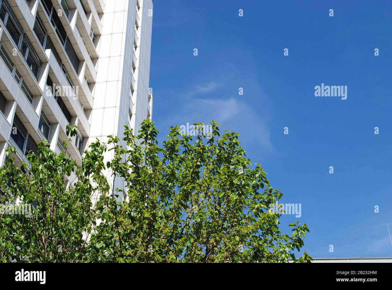 City office building with trees hi-res stock photography and images - Alamy