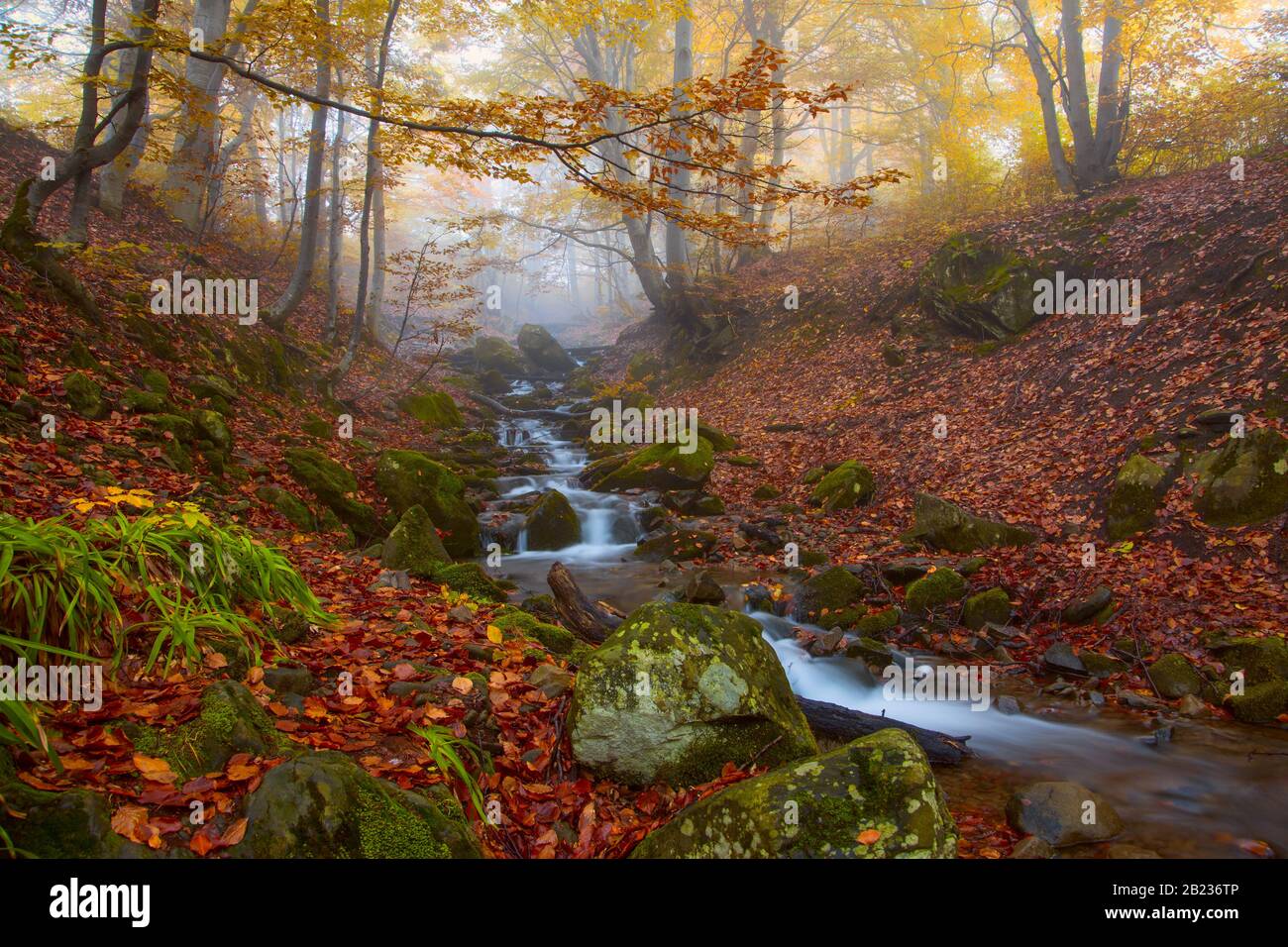 Creak park hi-res stock photography and images - Alamy