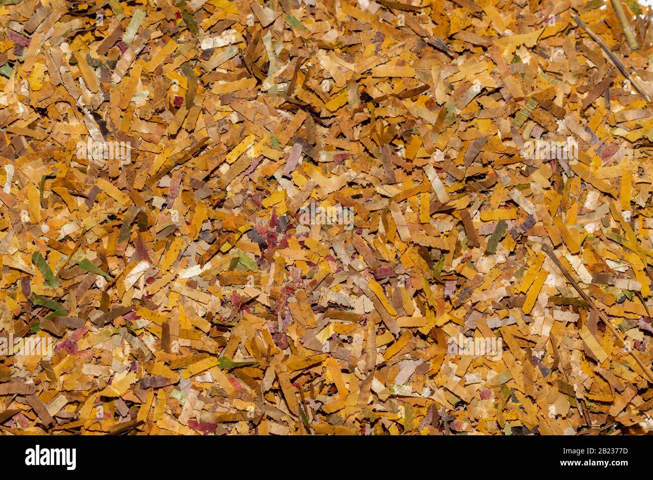 colorful autumn leaves shredded in pieces, texture Stock Photo - Alamy