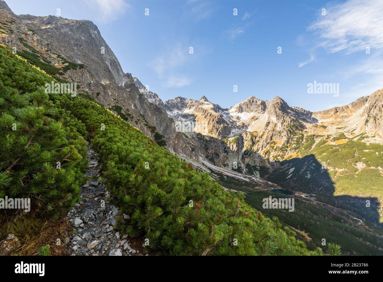 A green bottom Stock Photo - Alamy