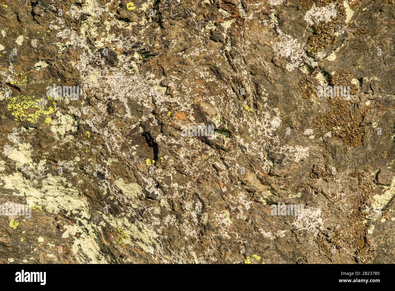Mossy rock texture hi-res stock photography and images - Alamy