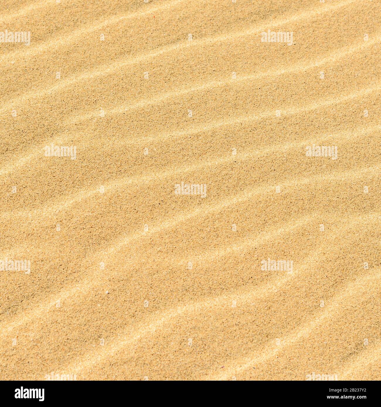 texture of wind ripples on a sand dune Stock Photo - Alamy