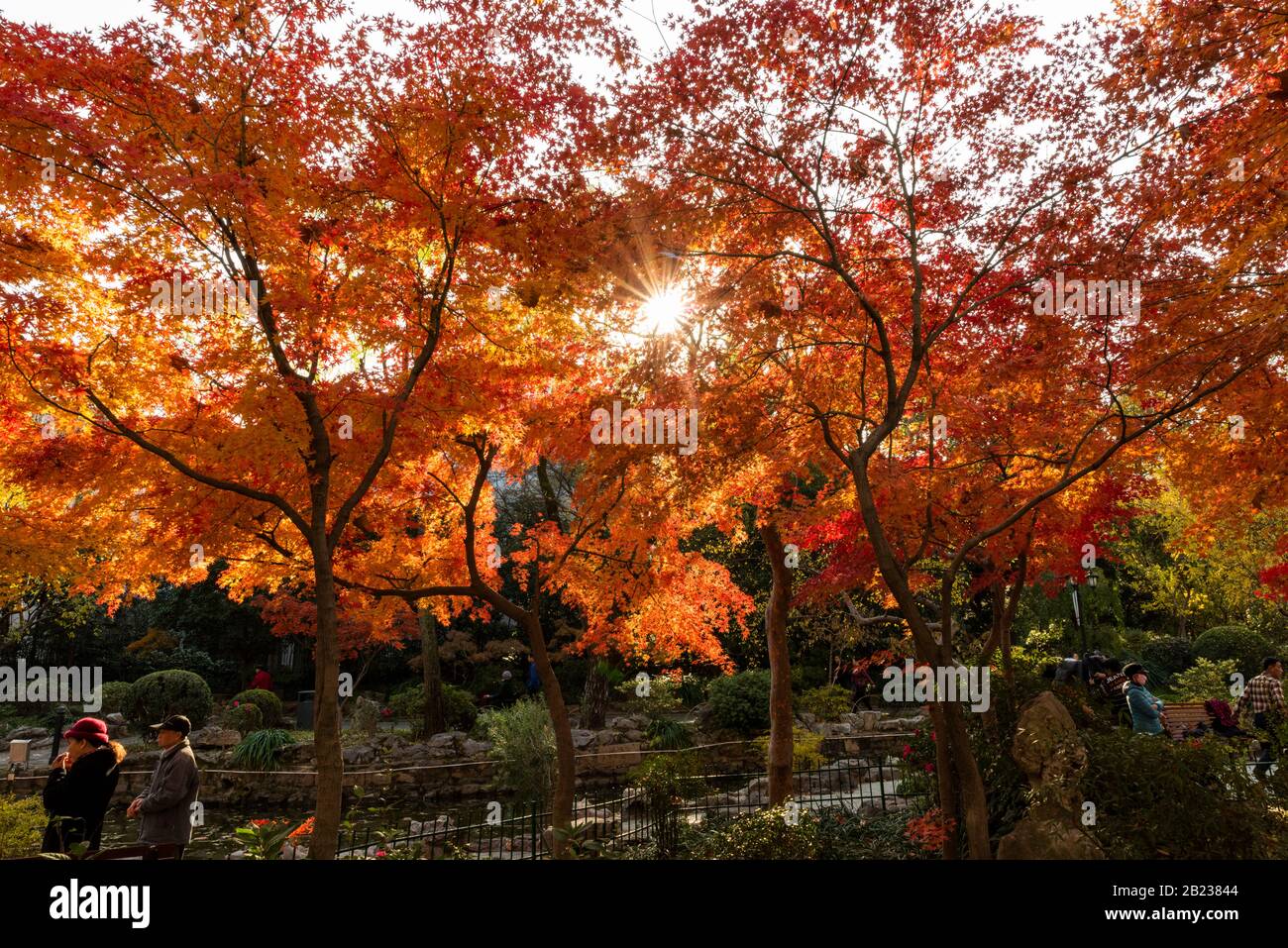Autumn in shanghai hi-res stock photography and images - Alamy