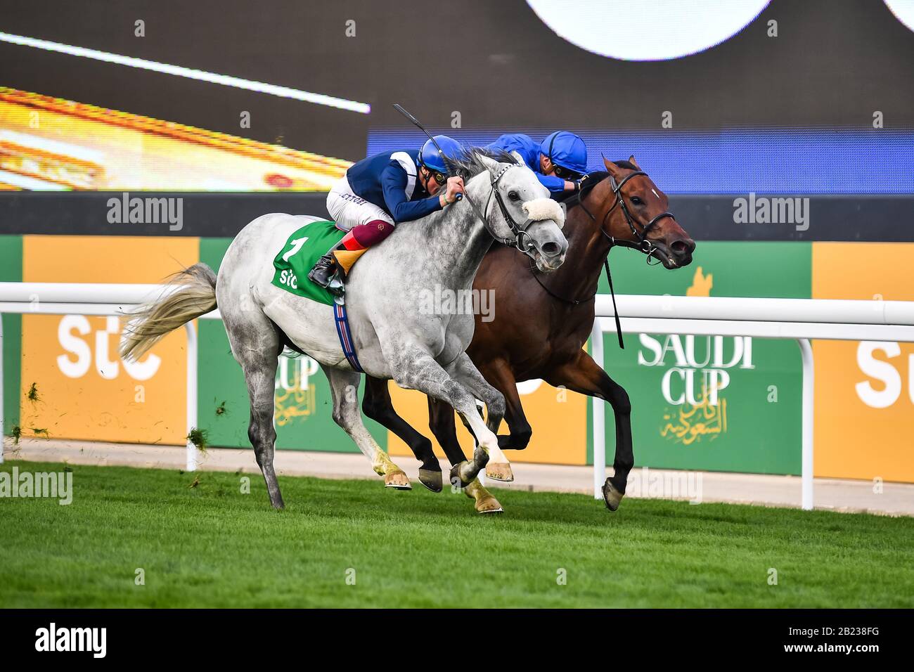 Godolphin arabian horse hi-res stock photography and images - Alamy